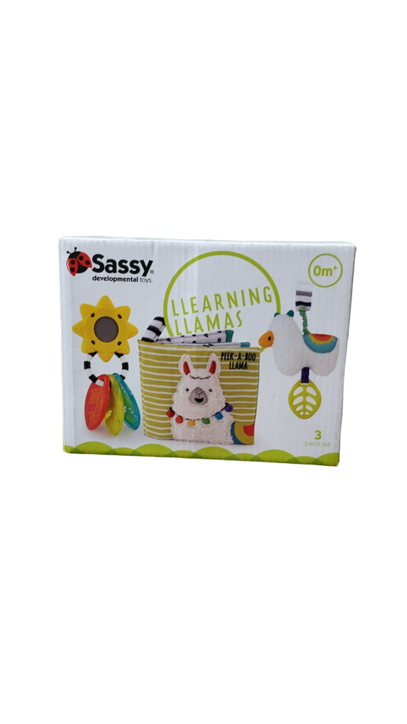 Sassy Learning Llamas Gift Box
