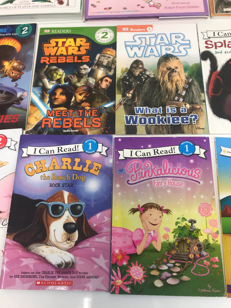 BUNDLE Books - Easy Readers And More