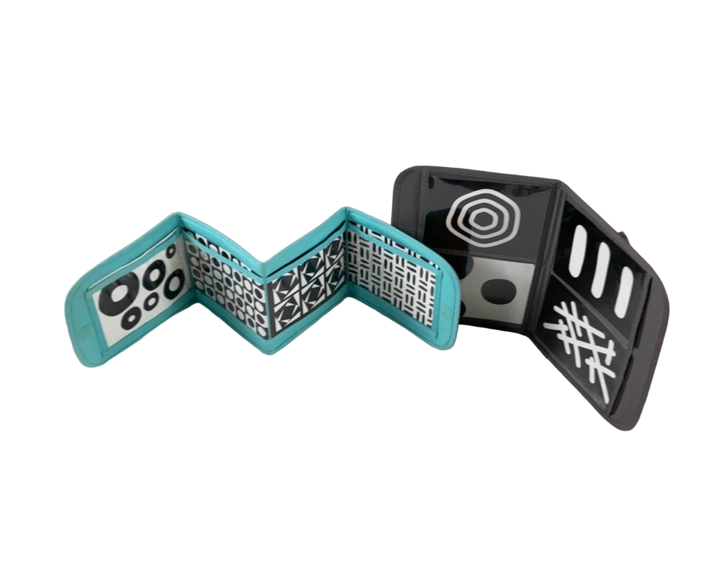 Lovevery The Looker Play Kit