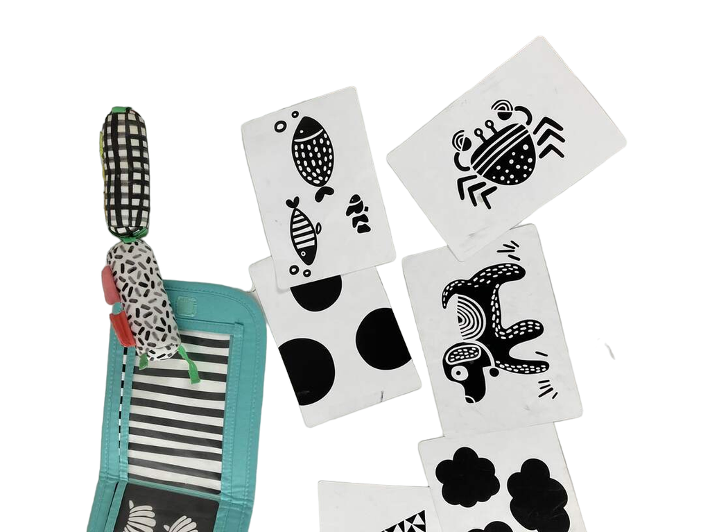 Lovevery The Looker Play Kit