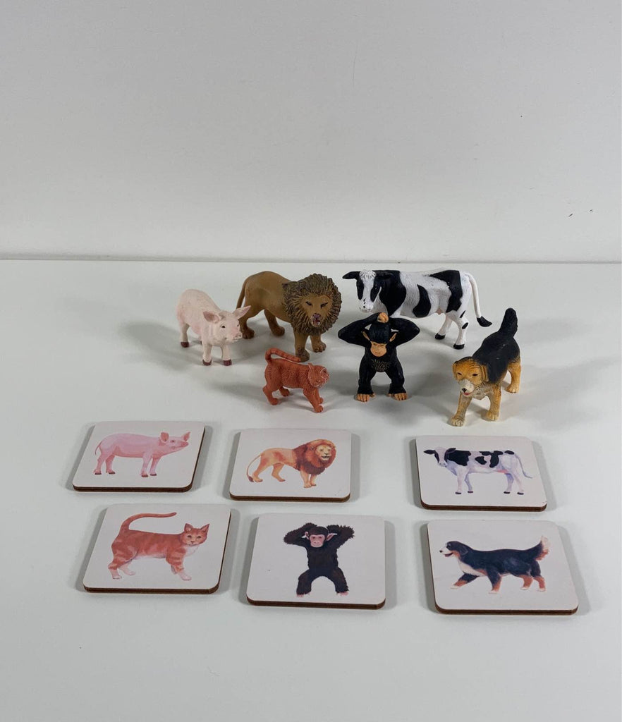 Montessori Animal Match