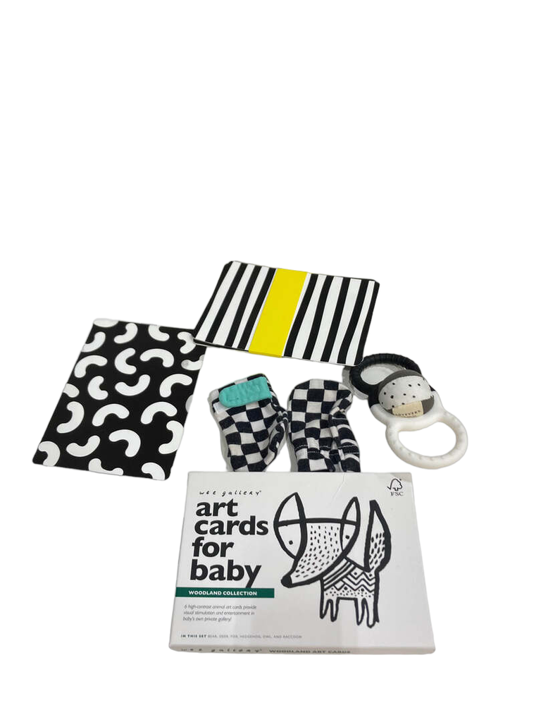 Lovevery The Looker Play Kit