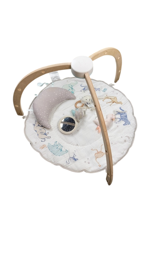 Aden + Anais Play + Discover Baby Activity Gym, Rising Star — GoodBuy Gear