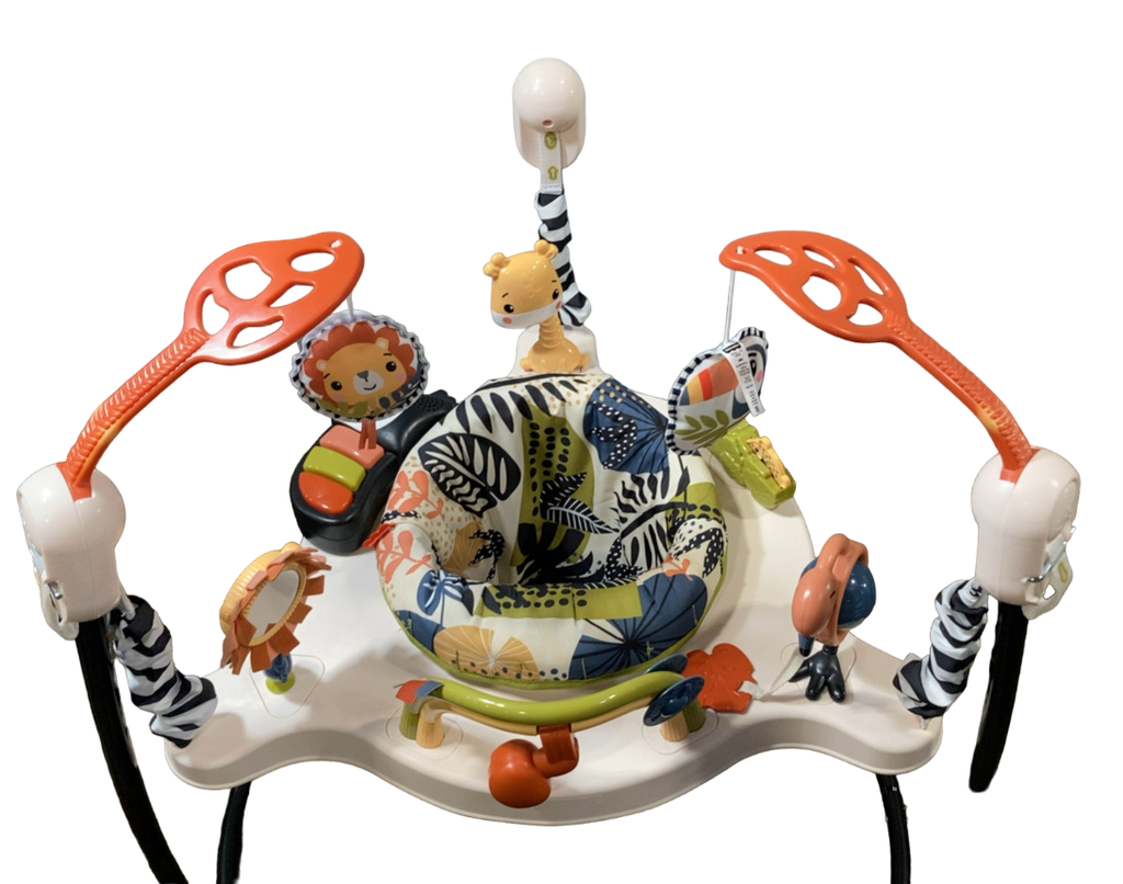 Fisher Price Jumperoo Activity Center, Palm Paradise