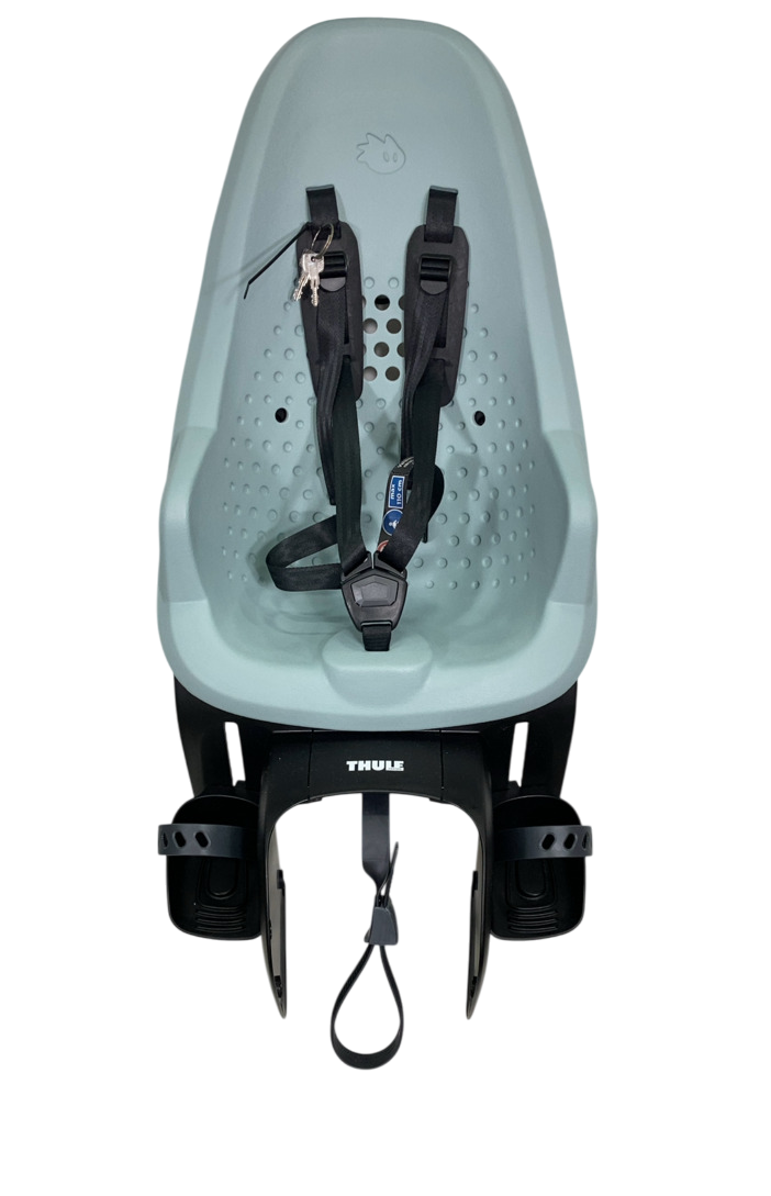 Thule Yepp 2 Maxi, Alaska, Rack Mount — GoodBuy Gear