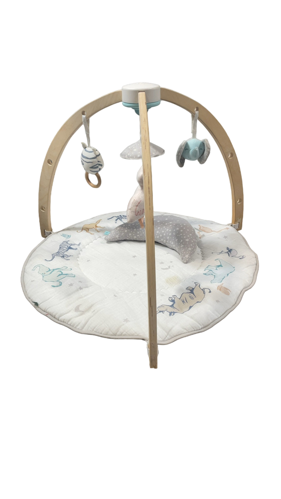 Aden + Anais Play + Discover Baby Activity Gym, Rising Star