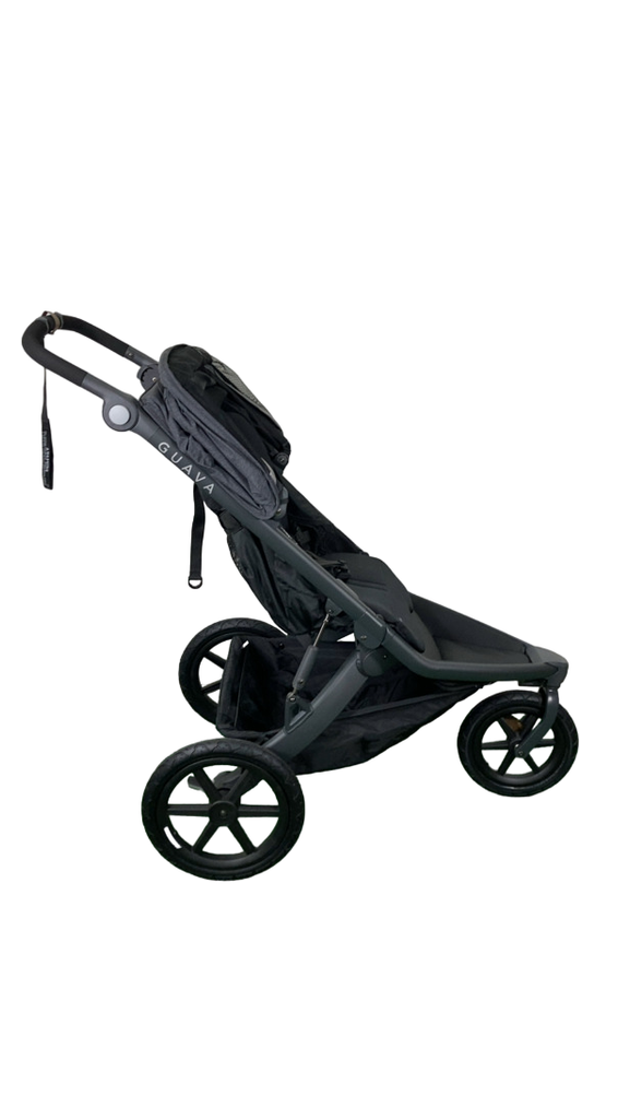 Guava Family Roam Crossover Stroller, 2021, Grey