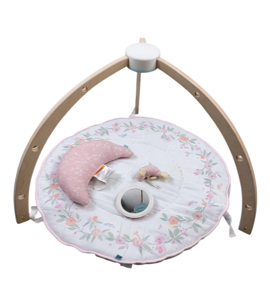 Aden + Anais Play + Discover Baby Activity Gym, Ma Fluer — GoodBuy Gear