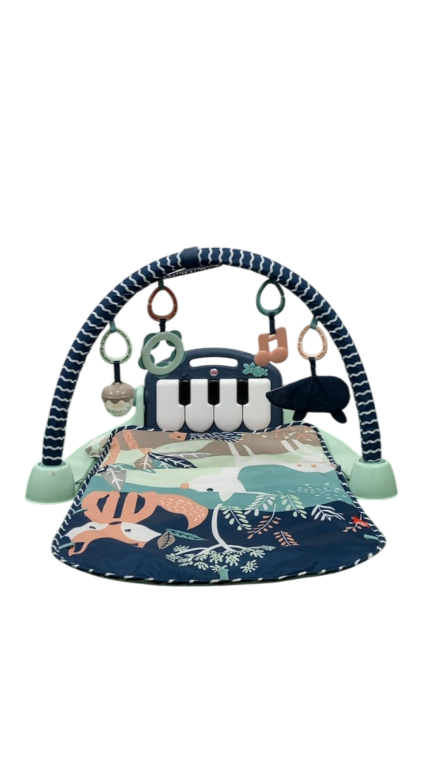 Fisher Price Kick & Play Piano Gym, Navy Fawn — GoodBuy Gear