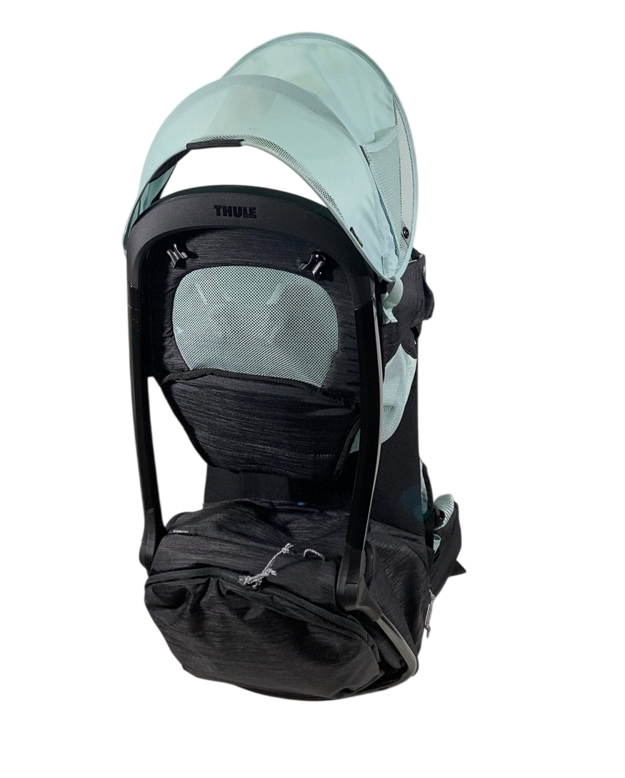 Thule Sapling Child Carrier, Black — GoodBuy Gear