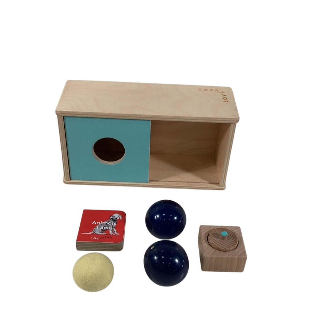 Lovevery The Thinker Play Kit — GoodBuy Gear