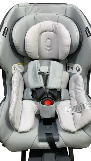 Babyark Convertible Car Seat, 2023, Charcoal Grey / Glacier Ice
