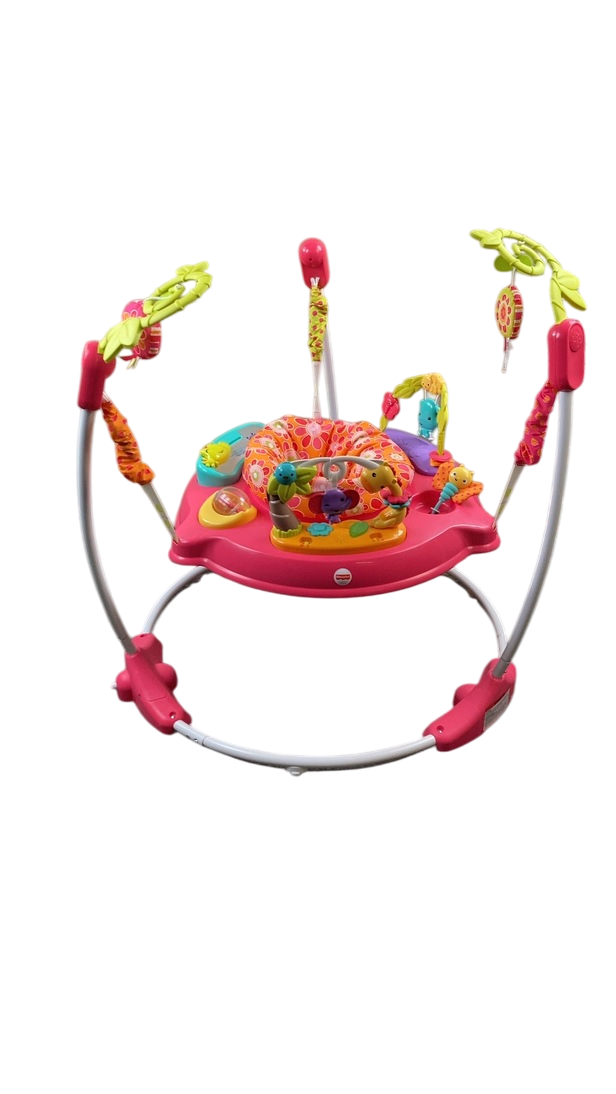 Fisher Price Jumperoo Activity Center, Pink Petals — GoodBuy Gear
