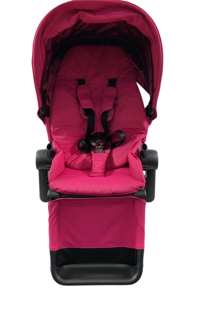 Cybex E-Priam Stroller Seat, Fancy Pink — GoodBuy Gear