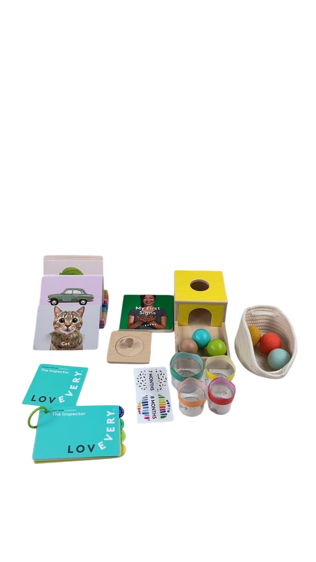 Lovevery The Inspector Play Kit — GoodBuy Gear