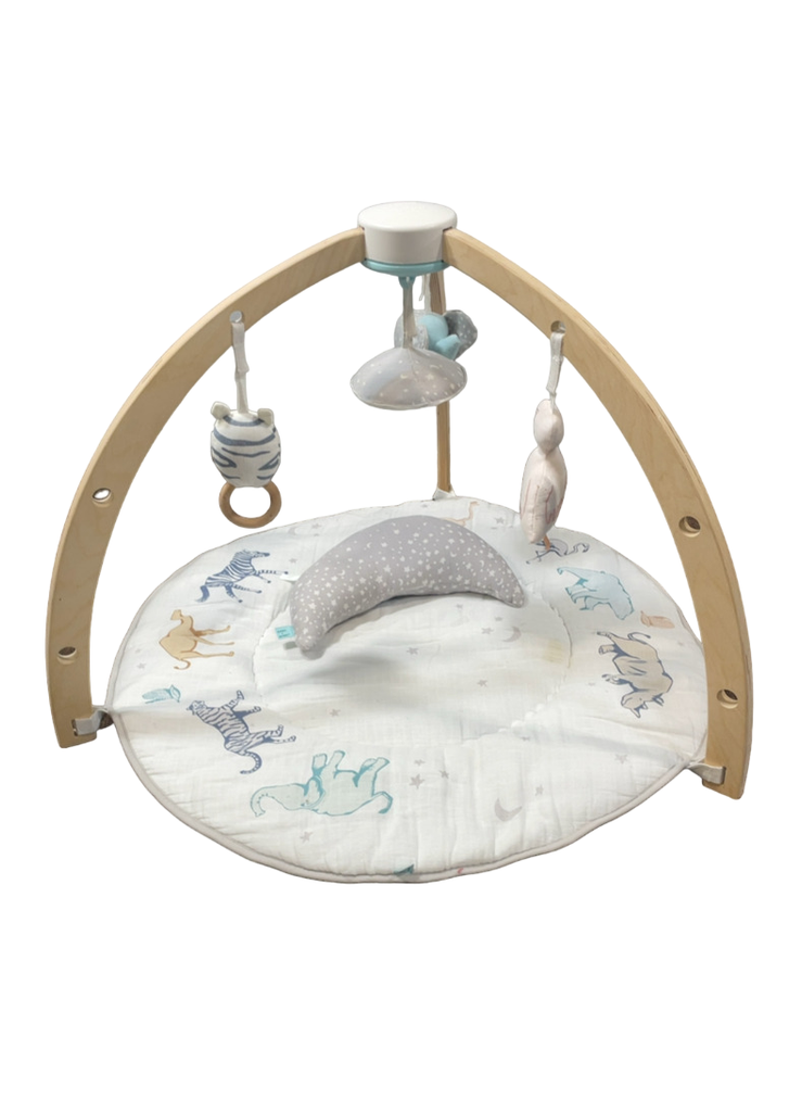 Aden + Anais Play + Discover Baby Activity Gym, Rising Star