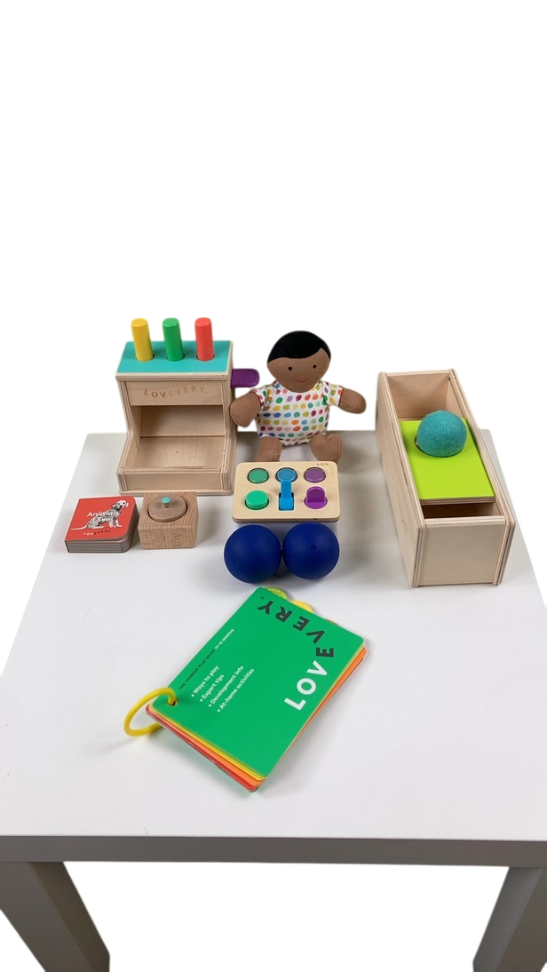Lovevery The Thinker Play Kit — GoodBuy Gear