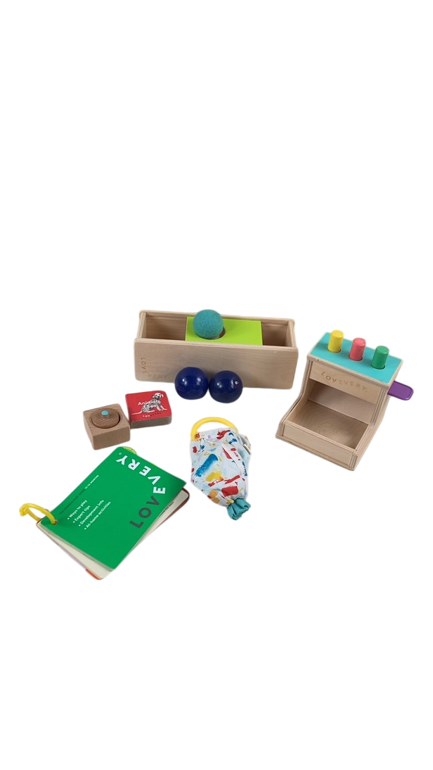 Lovevery The Thinker Play Kit — GoodBuy Gear
