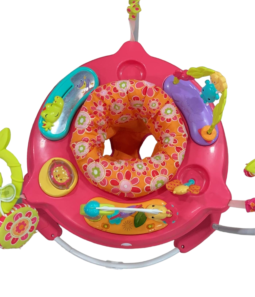 Fisher Price Jumperoo Activity Center, Pink Petals