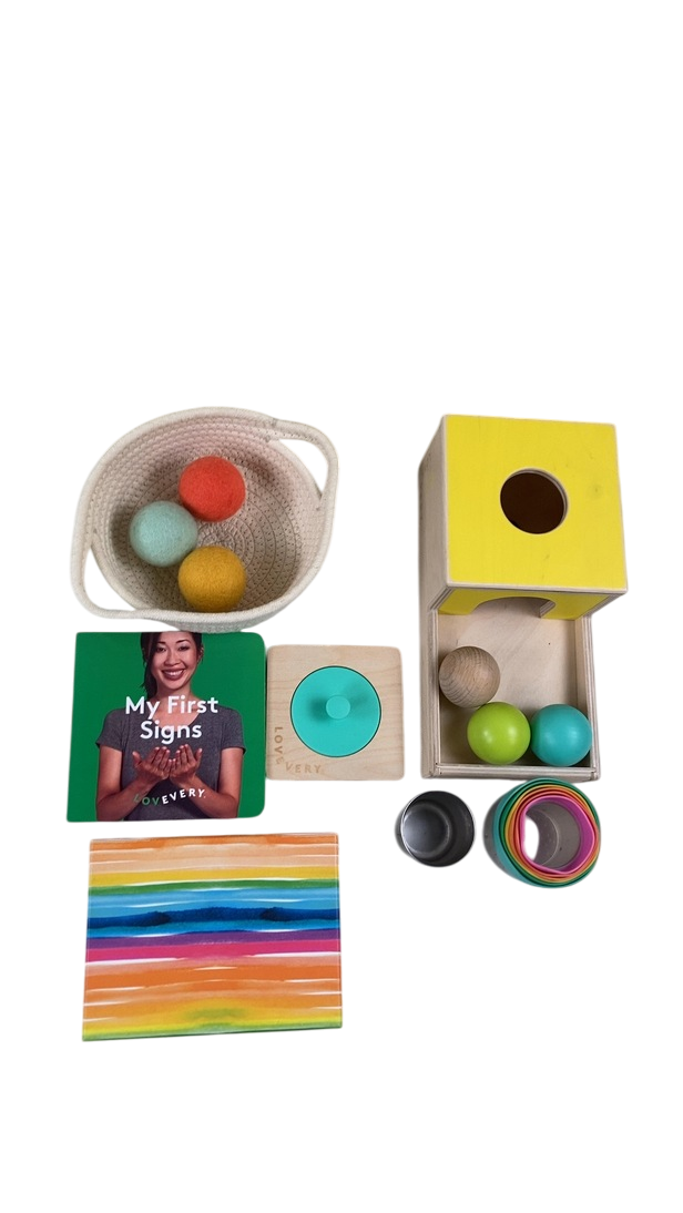 Lovevery The Inspector Play Kit — GoodBuy Gear