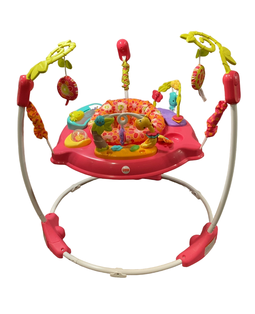 Fisher Price Jumperoo Activity Center, Pink Petals — GoodBuy Gear