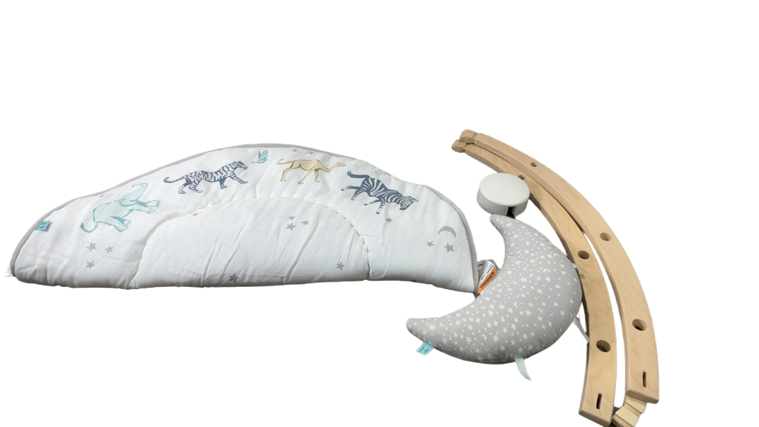 Aden + Anais Play + Discover Baby Activity Gym, Rising Star — GoodBuy Gear