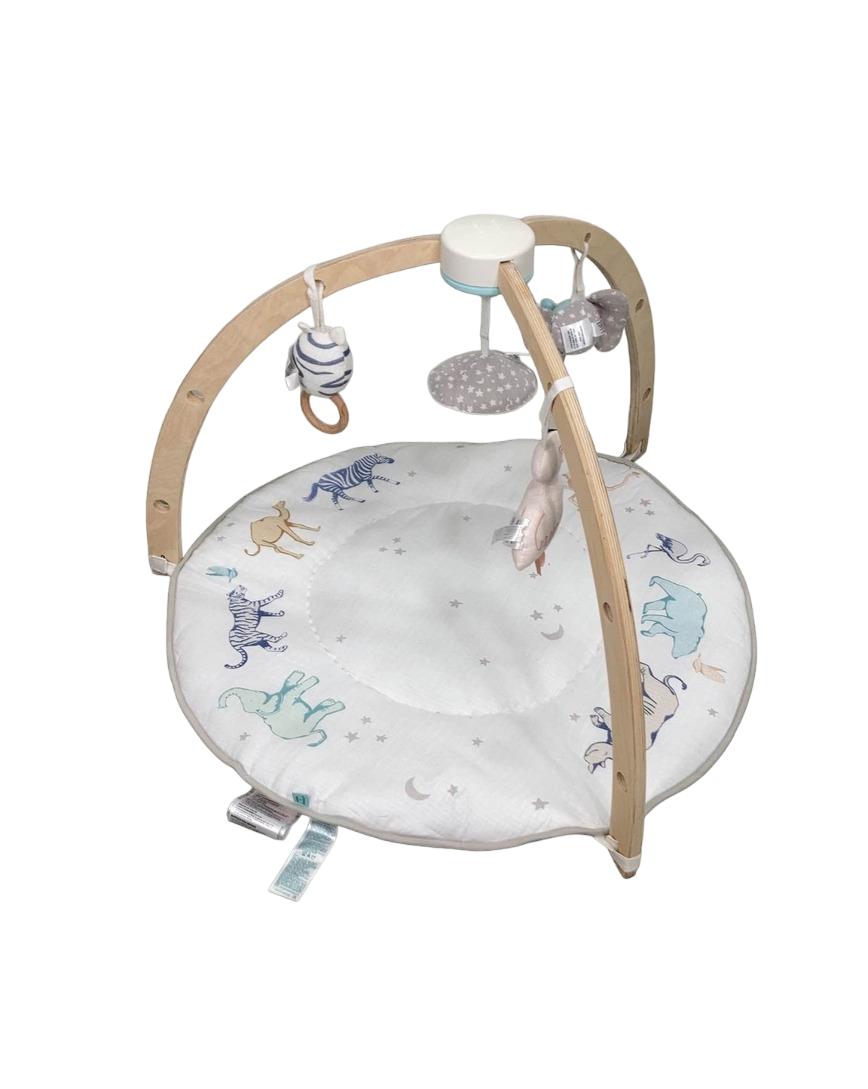 Aden + Anais Play + Discover Baby Activity Gym, Rising Star — GoodBuy Gear