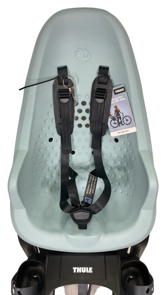 Thule Yepp 2 Maxi Rack Mounted Child Bike Seat, Alaska