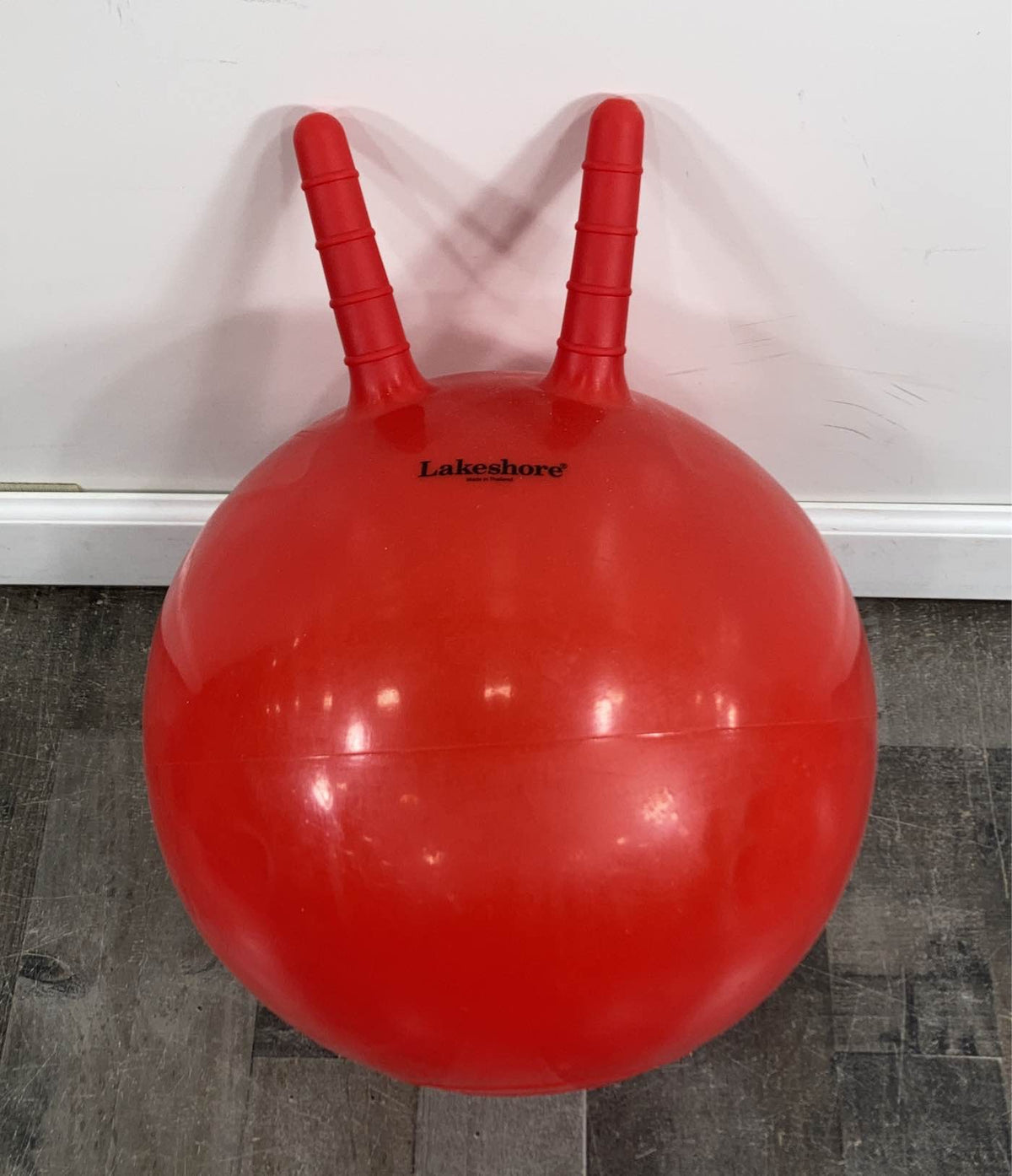 Lakeshore Hop Along Ball 15” — GoodBuy Gear