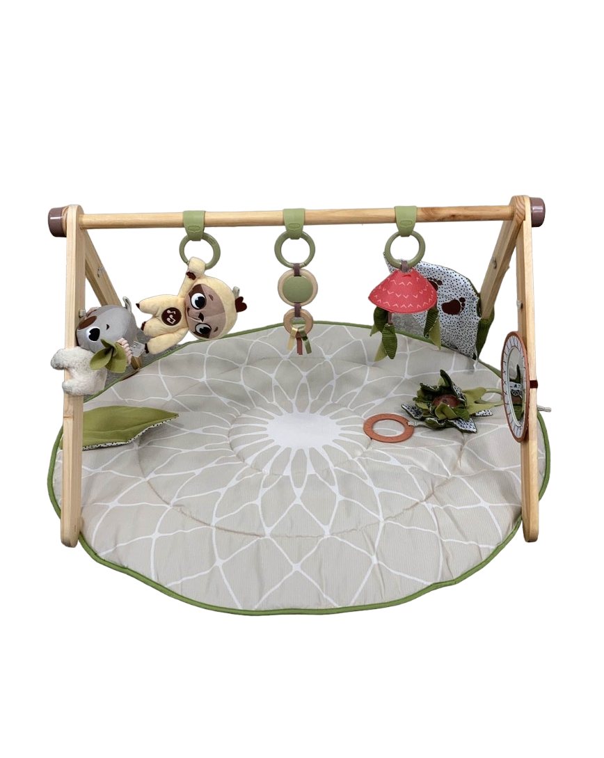 Tiny Love Boho Chic Luxe Developmental Gymini — GoodBuy Gear