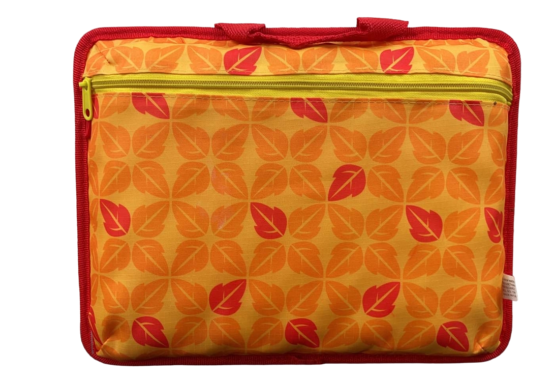 Disney Junior Lion Guard Lap Desk Activity Set — GoodBuy Gear
