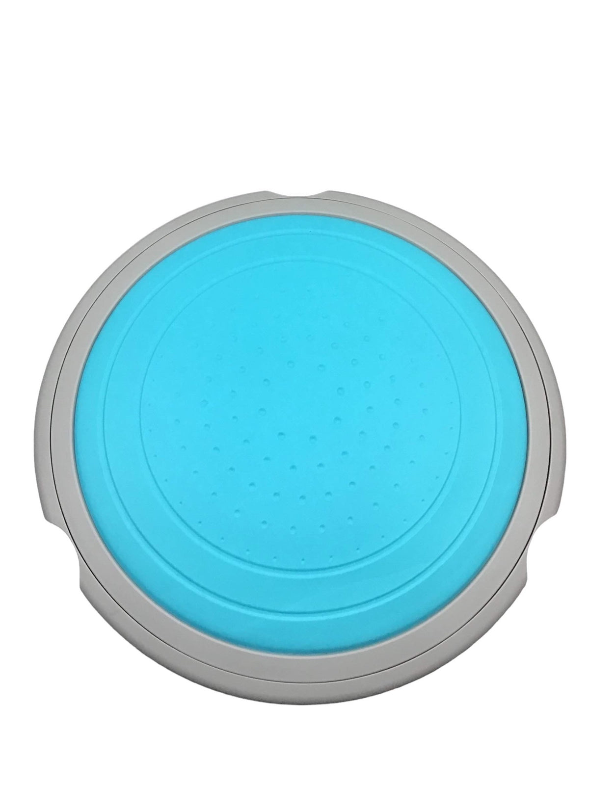 Stability Disc — GoodBuy Gear