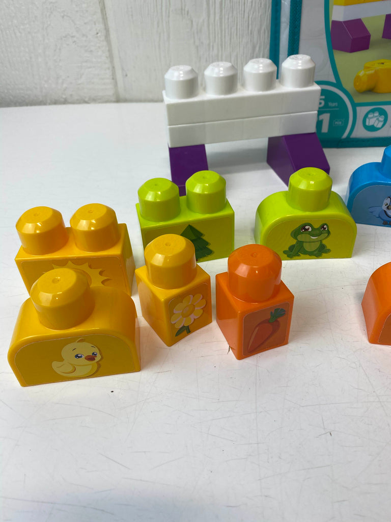 Mega Bloks Match My Colors Set