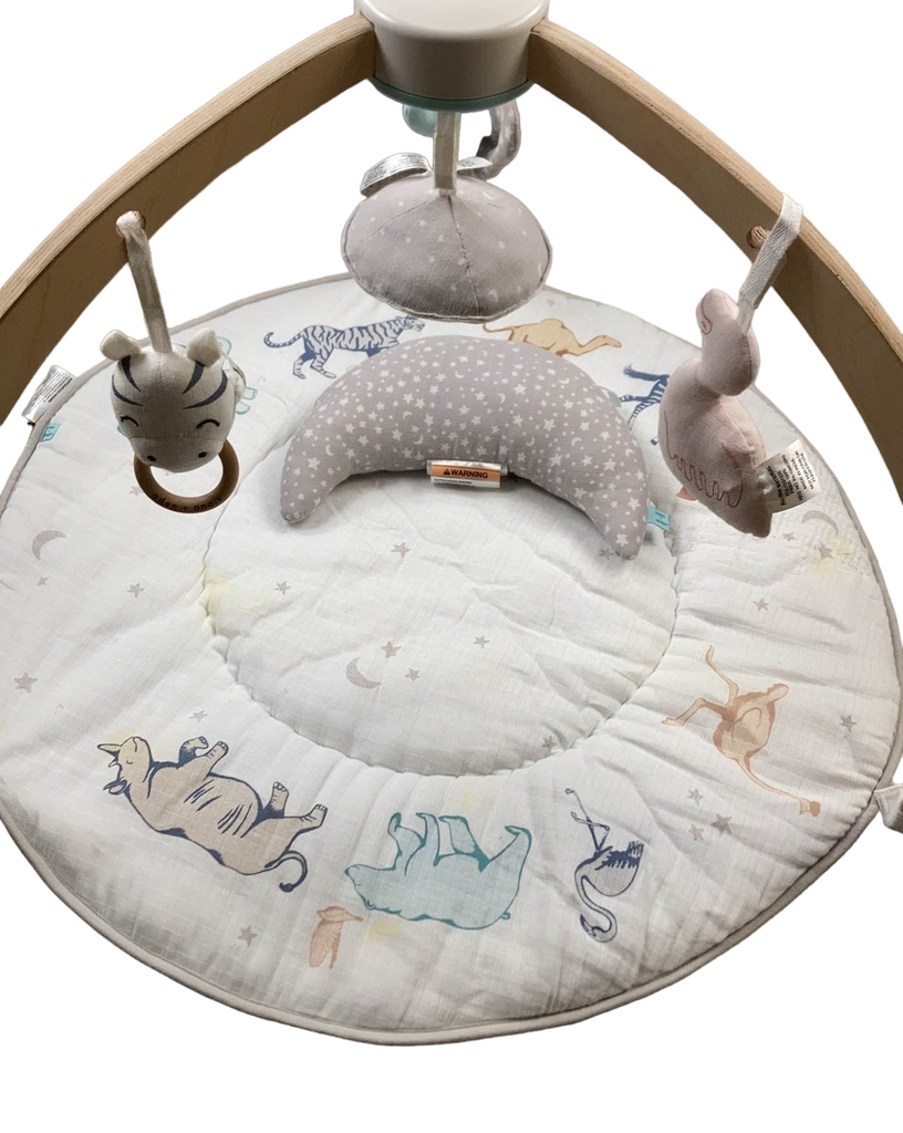 Aden + Anais Play + Discover Baby Activity Gym, Rising Star