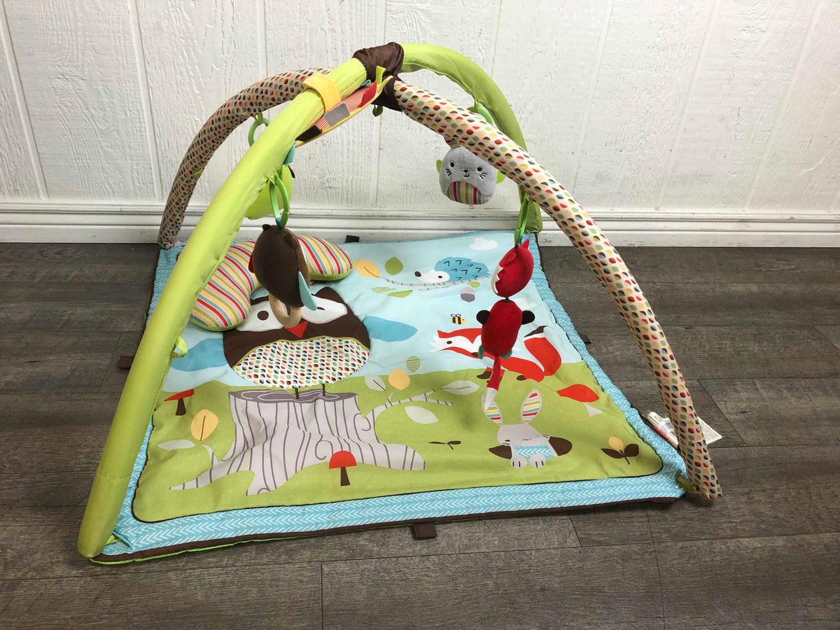 Skip Hop Activity Gym/Playmat — GoodBuy Gear