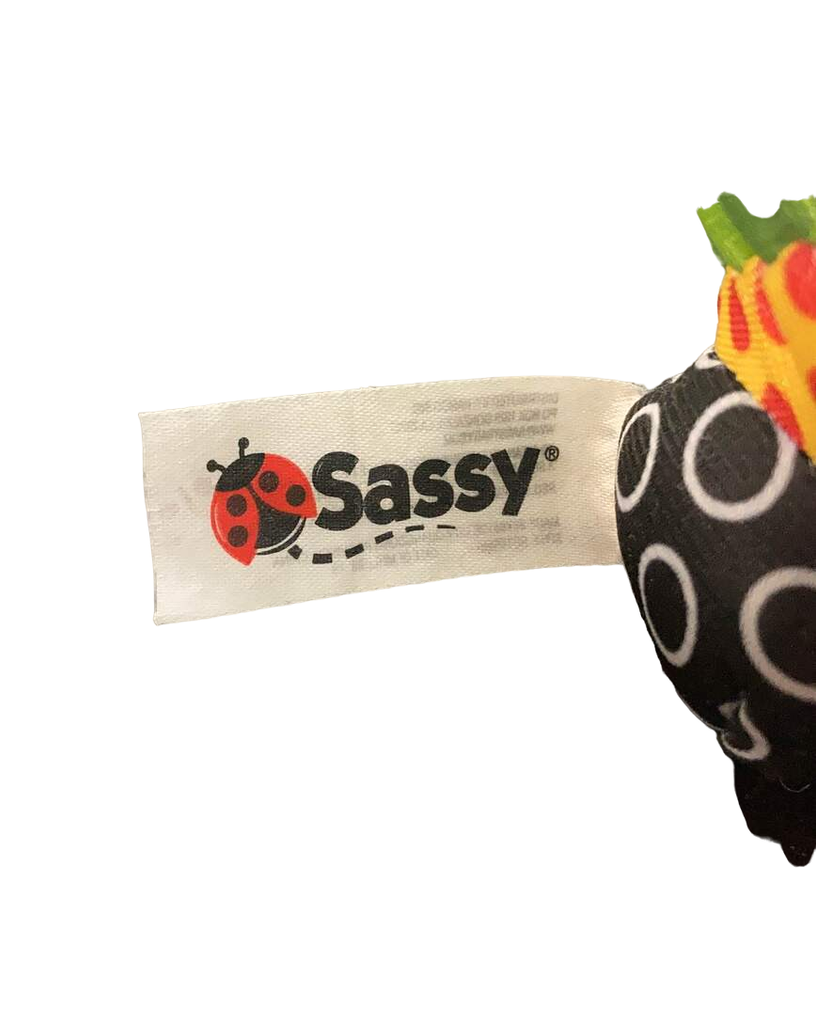 Sassy Developmental Bumpy Ball