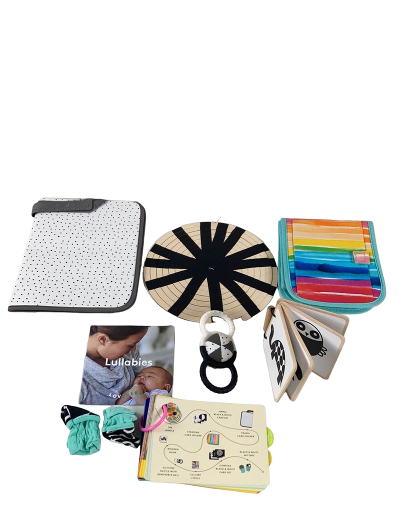 Lovevery The Looker Play Kit