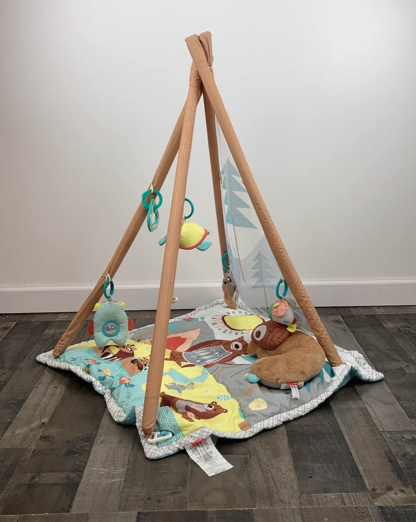 Skip Hop Camping Cubs Activity Gym