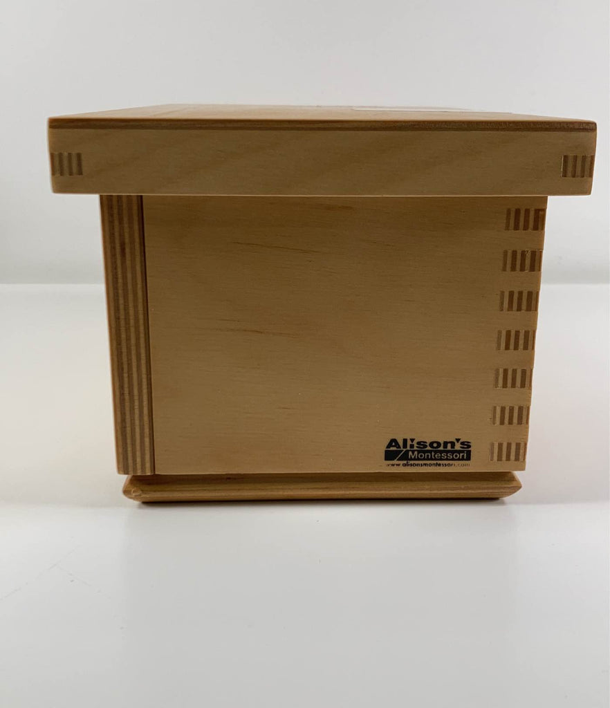 Alison’s Montessori Volume Box with 250 Cubes