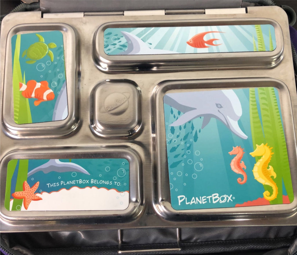 PlanetBox Rover Stainless Steel Lunchbox