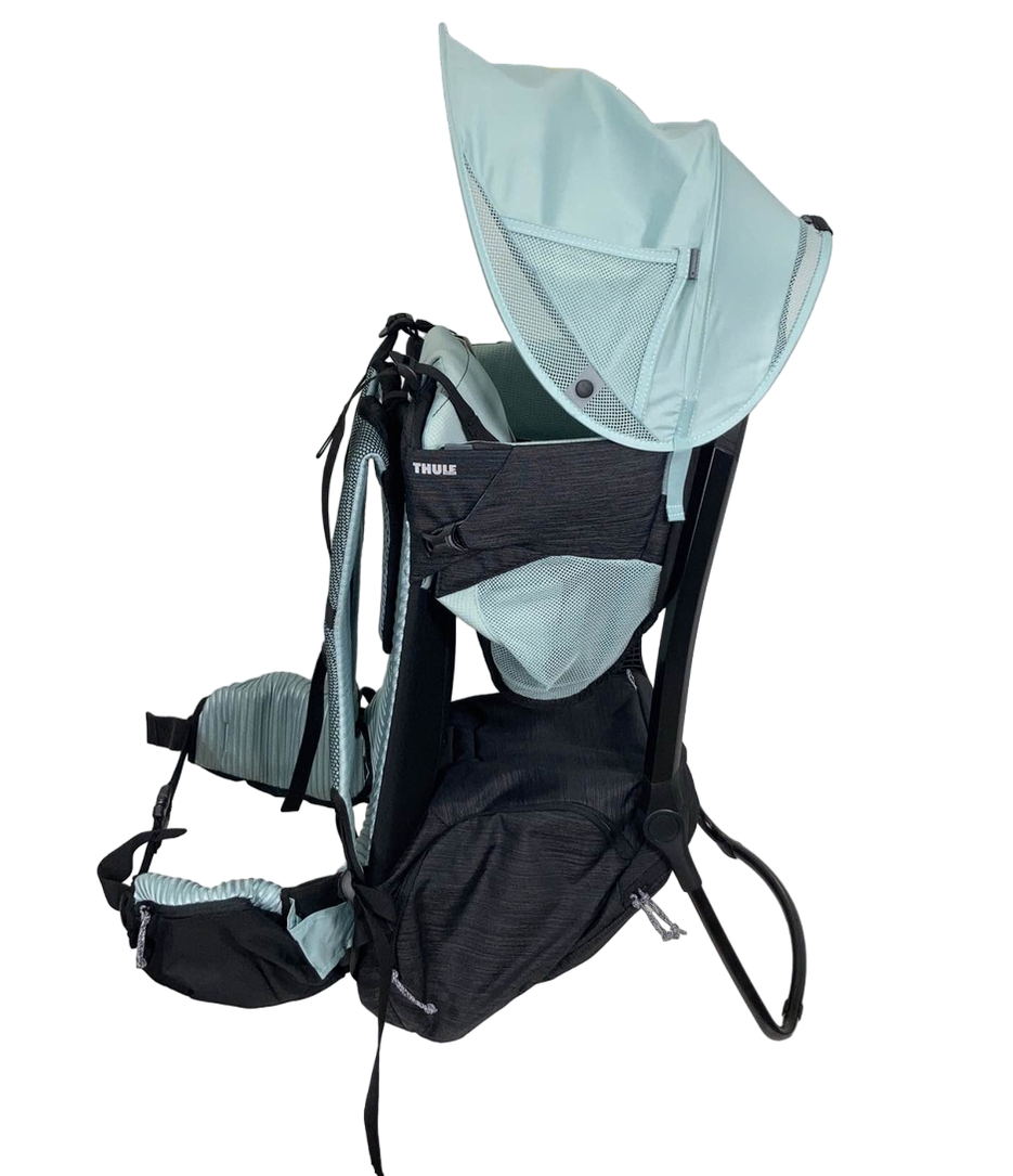 Thule Sapling Child Carrier, Black — GoodBuy Gear