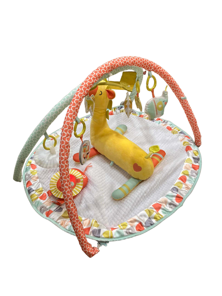 Fisher Price Go Wild Gym & Giraffe Wedge