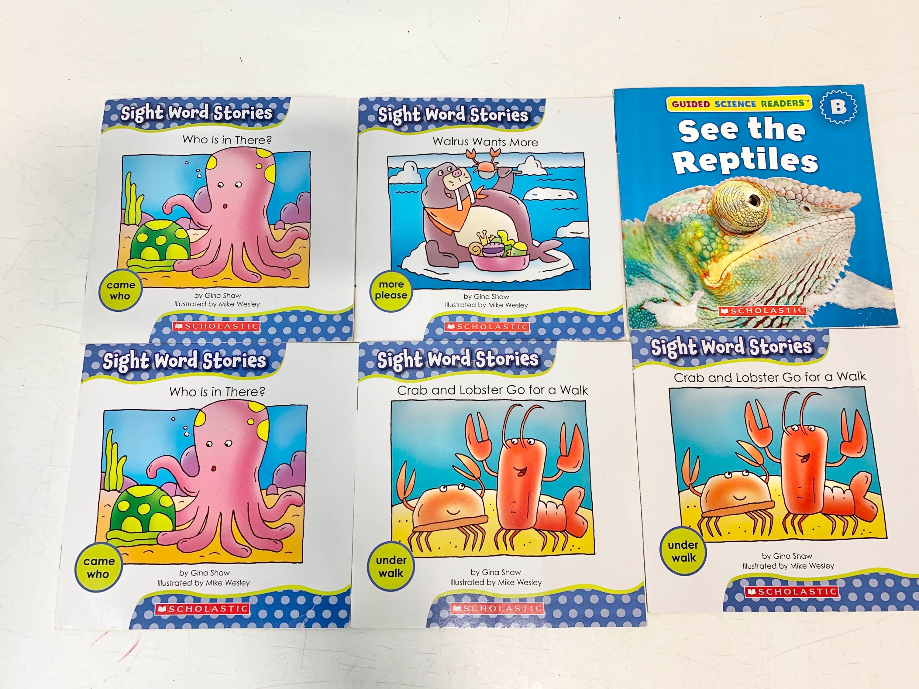 BUNDLE Easy Reading Books, Scholastic Sight Words — GoodBuy Gear