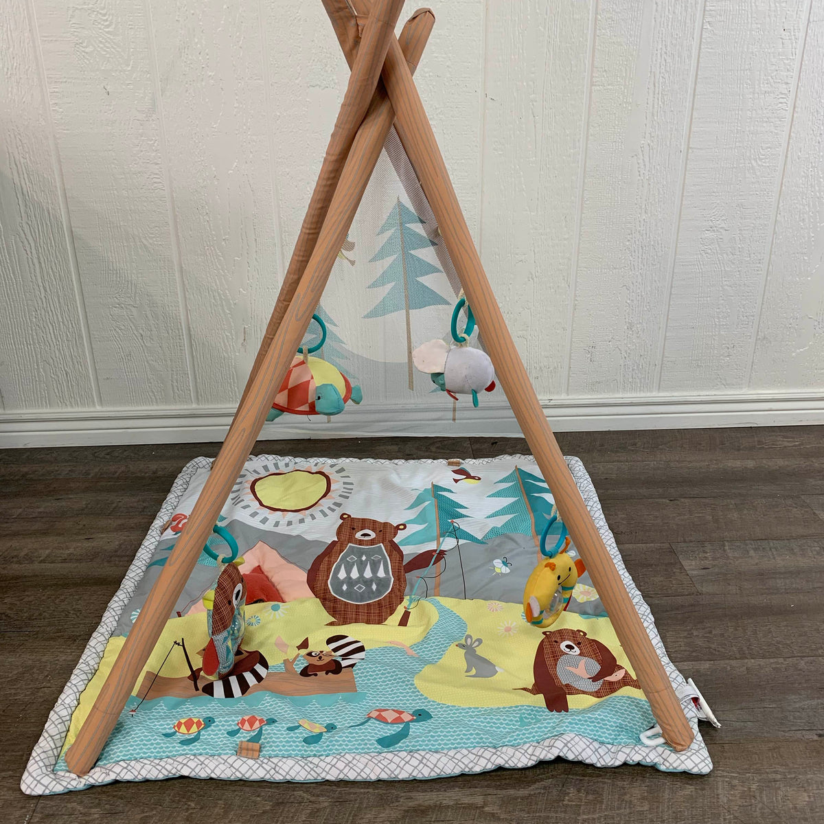 Skip Hop Camping Cubs Activity Gym — GoodBuy Gear