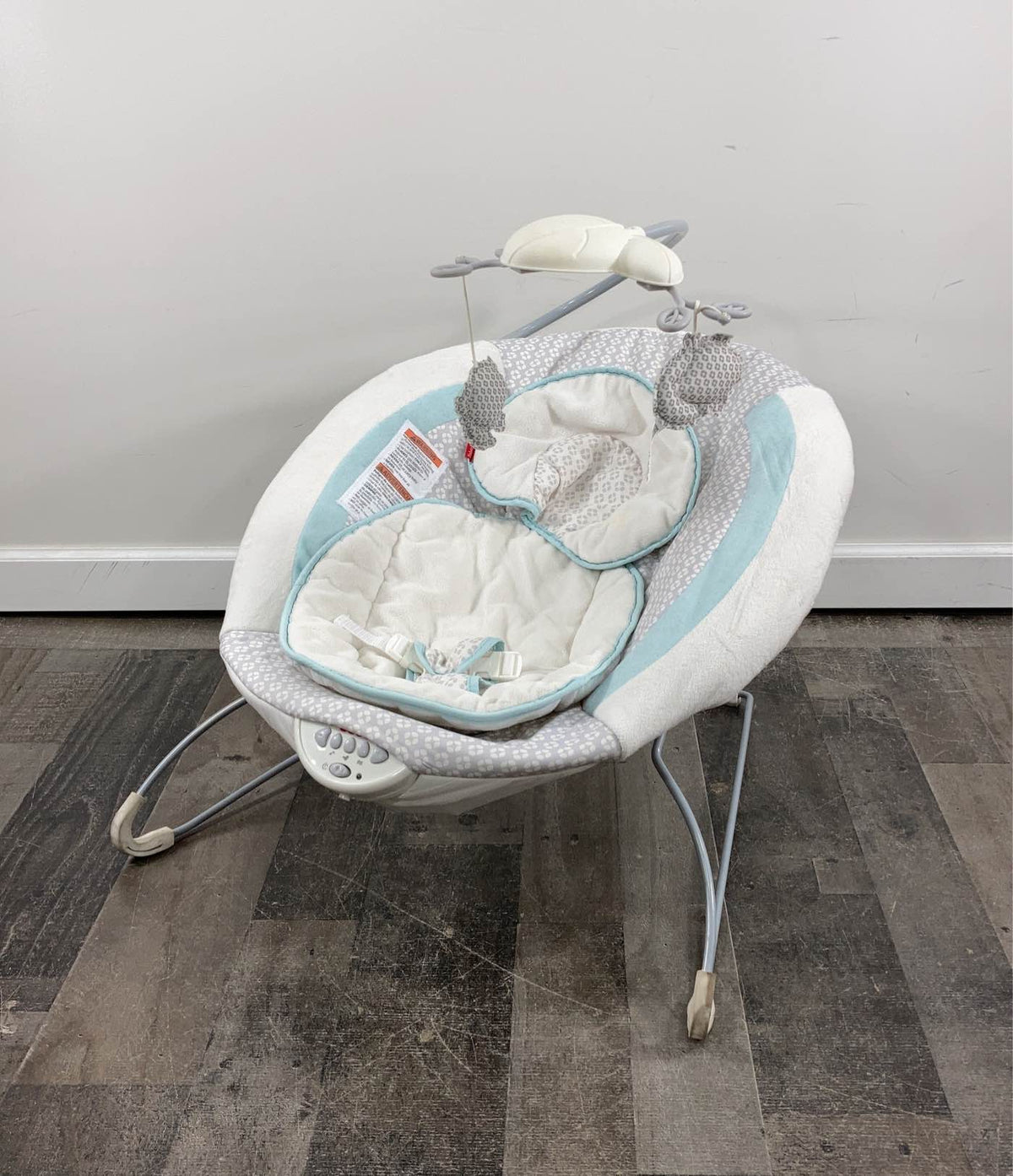 Fisher Price Deluxe Bouncer — GoodBuy Gear