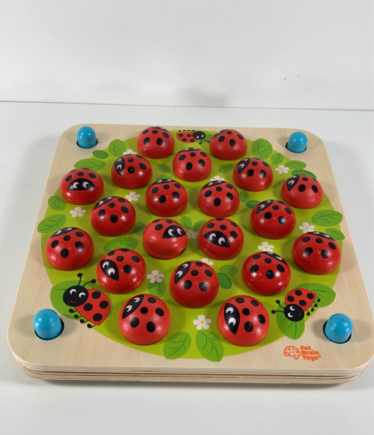 Fat Brain Toys Ladybug’s Garden Memory Game — GoodBuy Gear