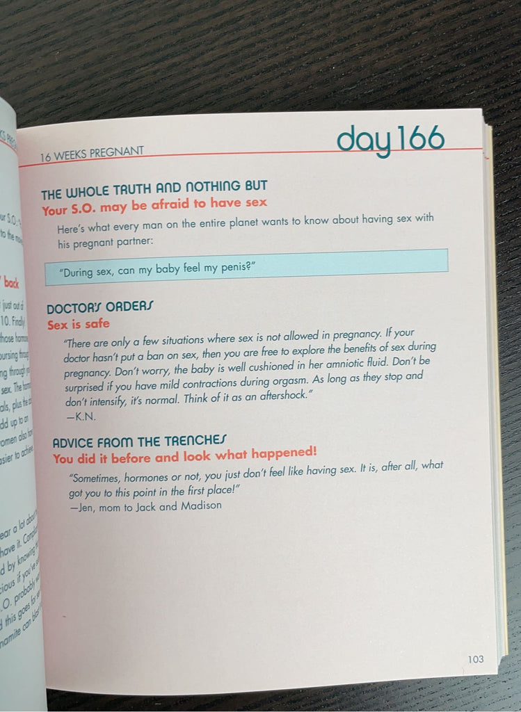 Susan Magee The Pregnancy Countdown Book