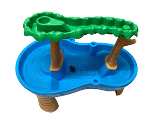 Step2 Rain Tropical Rainforest Water Table