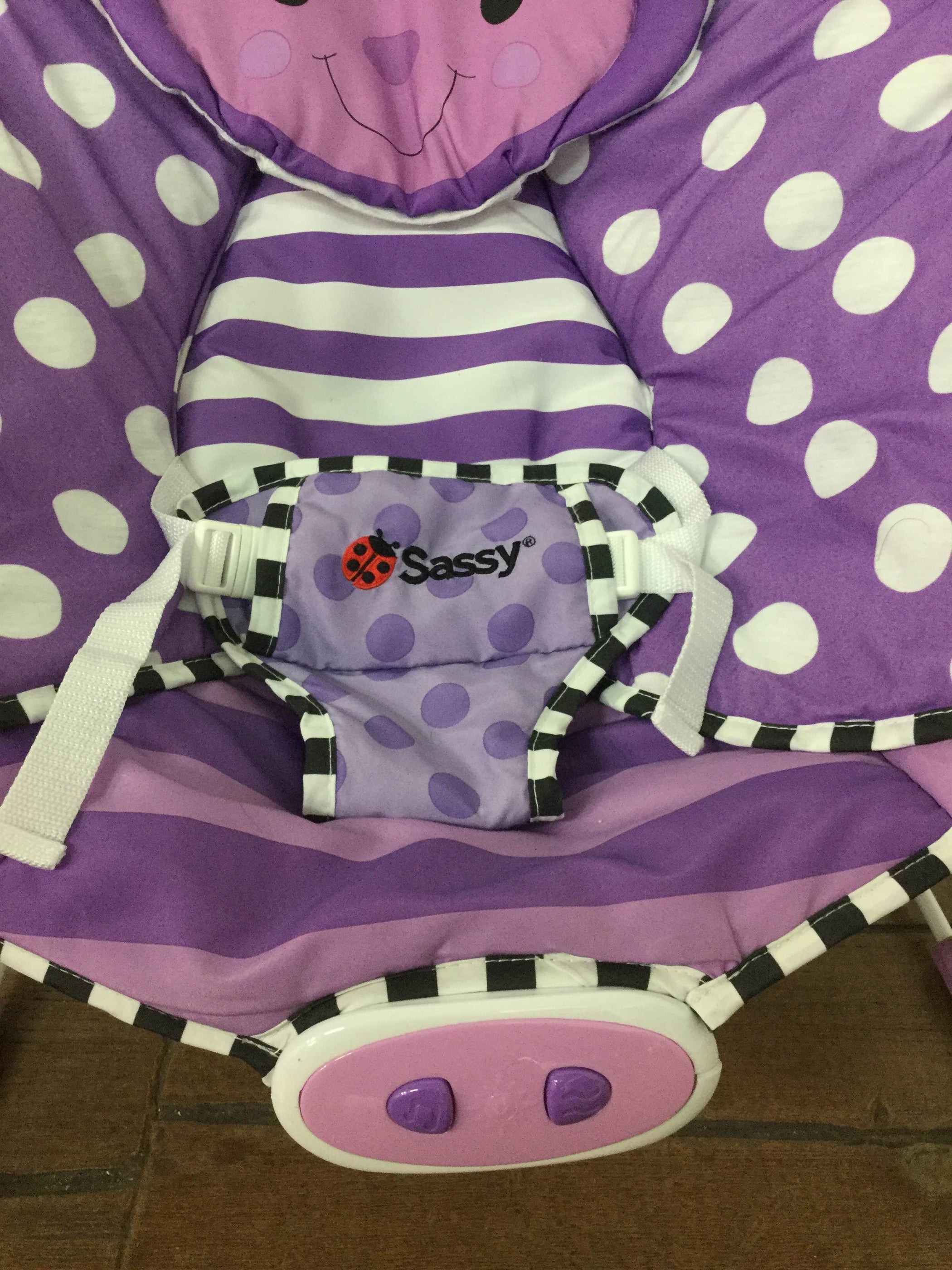 Sassy Cuddle Bug Bouncer — GoodBuy Gear