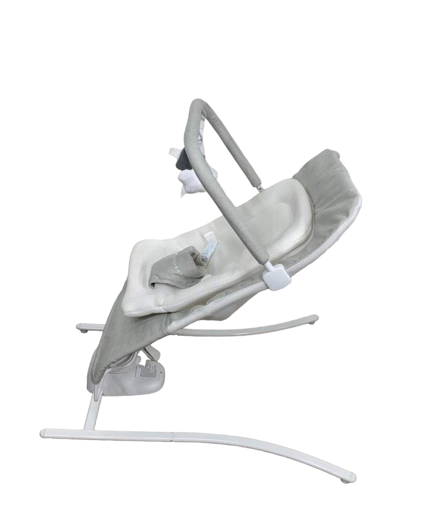 Baby Delight Alpine Wave Deluxe Bouncer With Motion